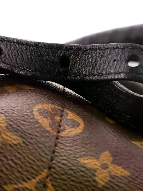 LOUIS VUITTON Palm Springs Monogram Canvas Pm Backpack