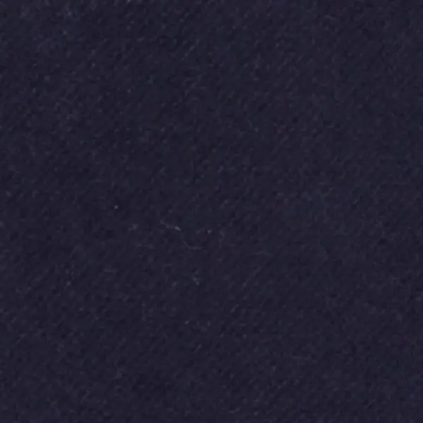 Loewe Silk-cashmere Logo Reversible Scarf
