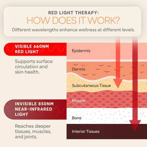 LIFEPRO Vibrared Vibration Plate With Red Light 99 Speeds & Resistance Bands - Blue