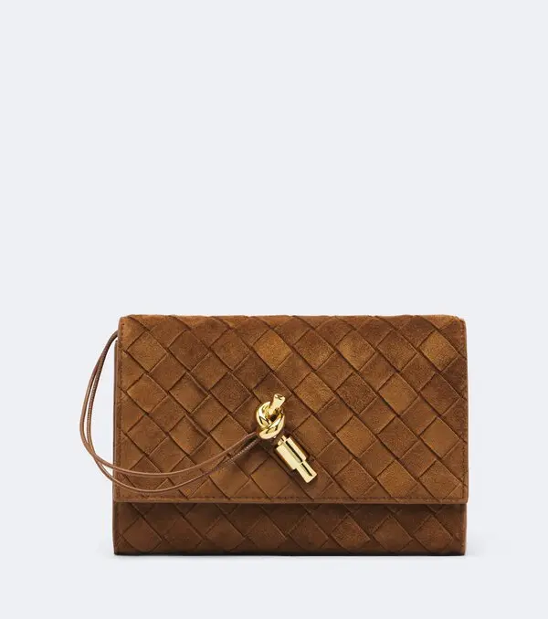 Bottega Veneta Andiamo Intrecciato Suede Pouch With Strap - Brown