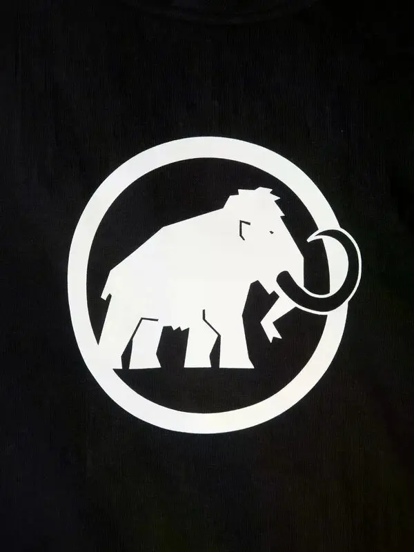MAMMUT Base Ml Logo-print Hoodie
