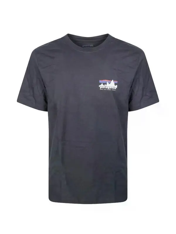 Patagonia 73 Skyline T-shirt