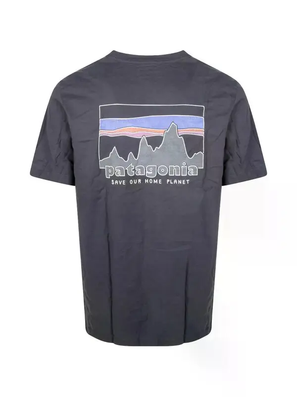 Patagonia 73 Skyline T-shirt