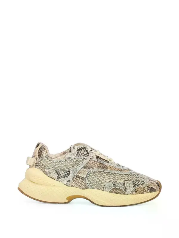 Roberto Cavalli Snake-effect Low-top Sneakers
