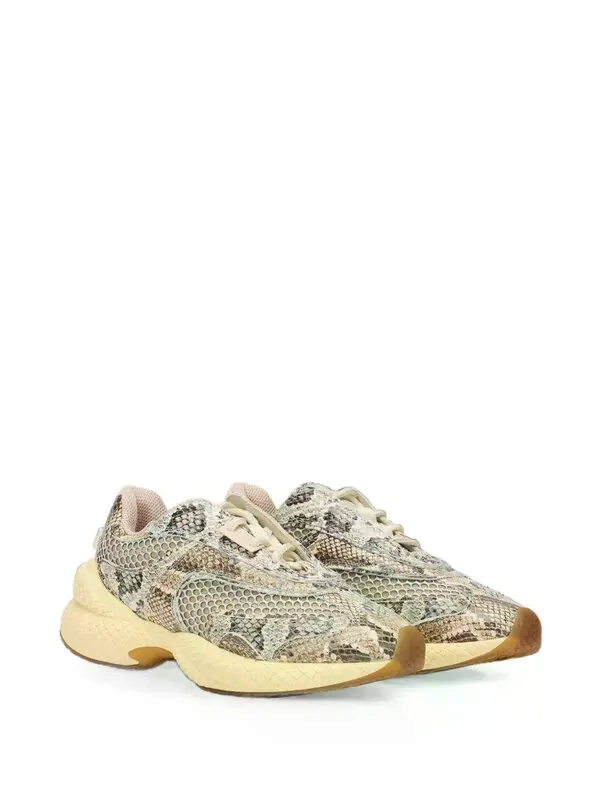 Roberto Cavalli Snake-effect Low-top Sneakers