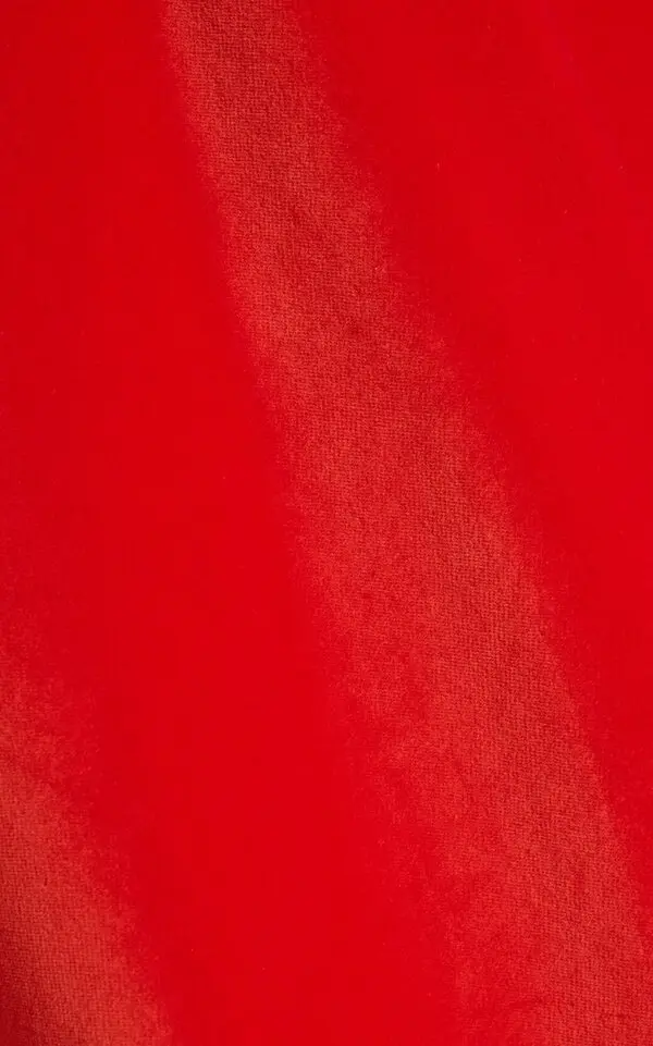 COLLEEN ALLEN Cotton Velvet Turtleneck Top - Orange