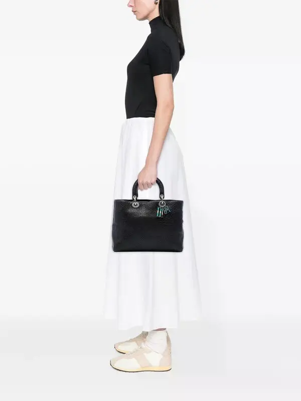 Dior 2017 Large Canyon Grained Lambskin Lady Satchel