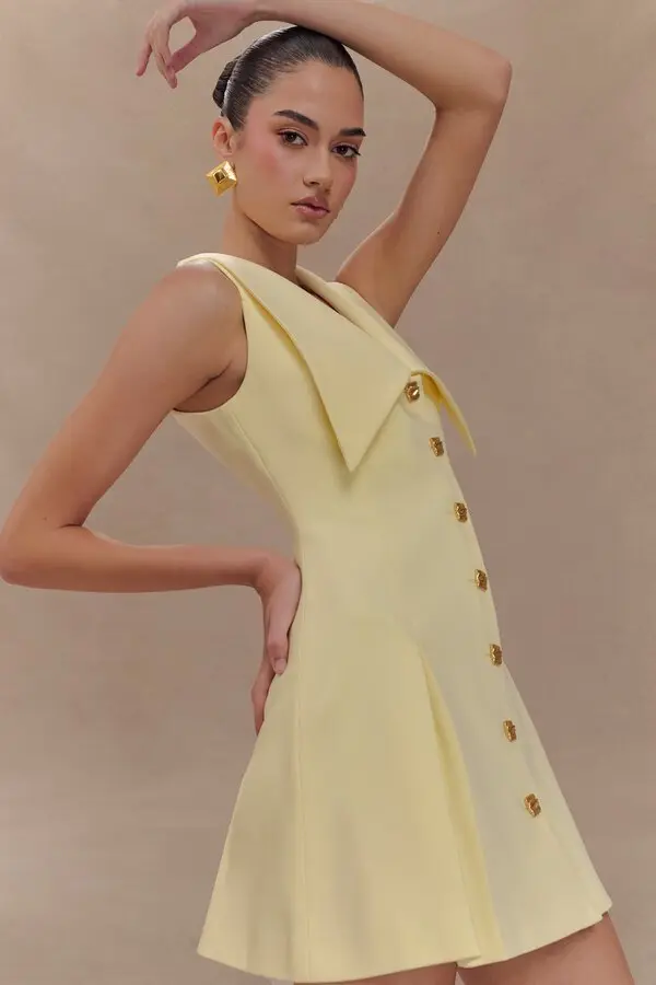 Meshki Oli Sleeveless Mini Dress