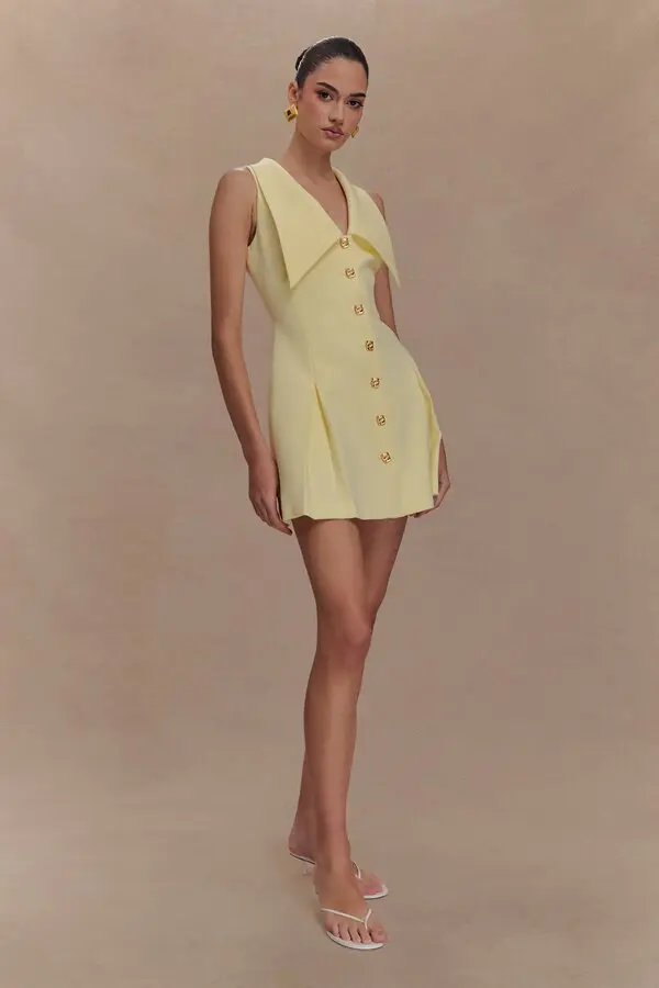 Meshki Oli Sleeveless Mini Dress