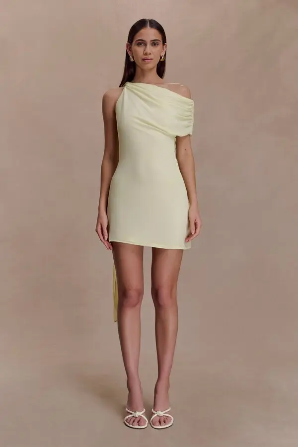 Meshki Daisie Chiffon Mini Dress