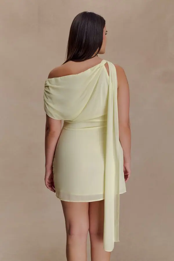 Meshki Daisie Chiffon Mini Dress