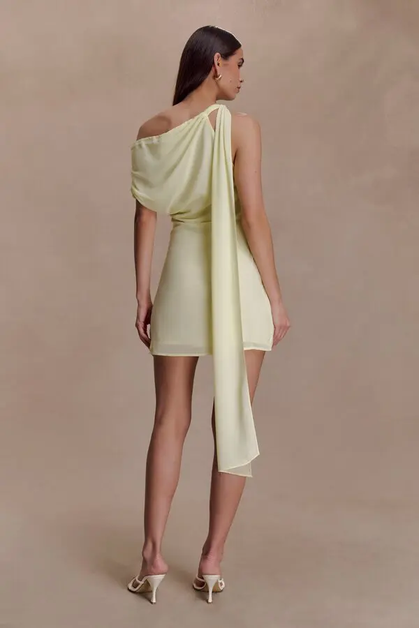 Meshki Daisie Chiffon Mini Dress