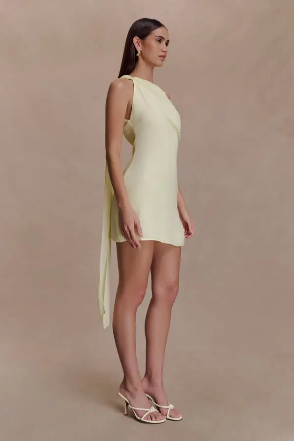 Meshki Daisie Chiffon Mini Dress