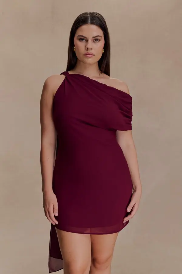 Meshki Daisie Chiffon Mini Dress