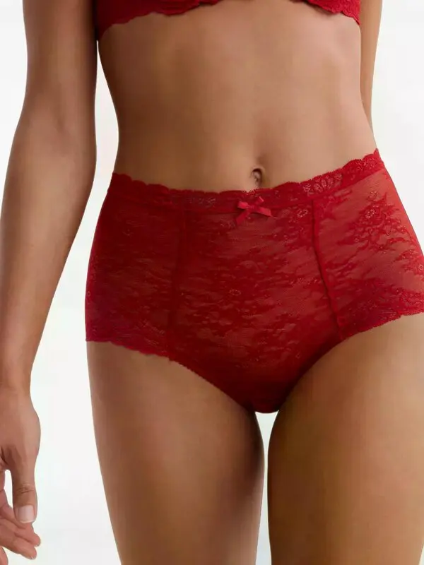 AUBADE Danse Des Sens Lace-panel Briefs - Red