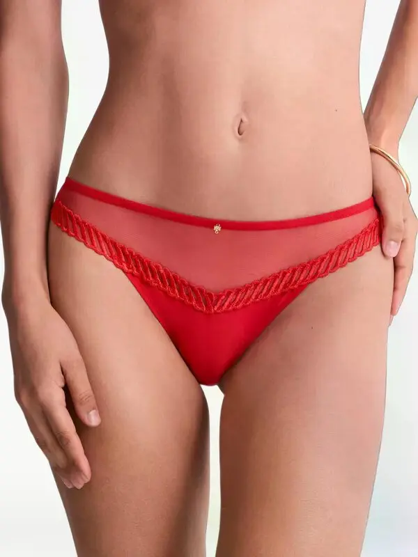 AUBADE Sheer Emotion Embroidered Briefs
