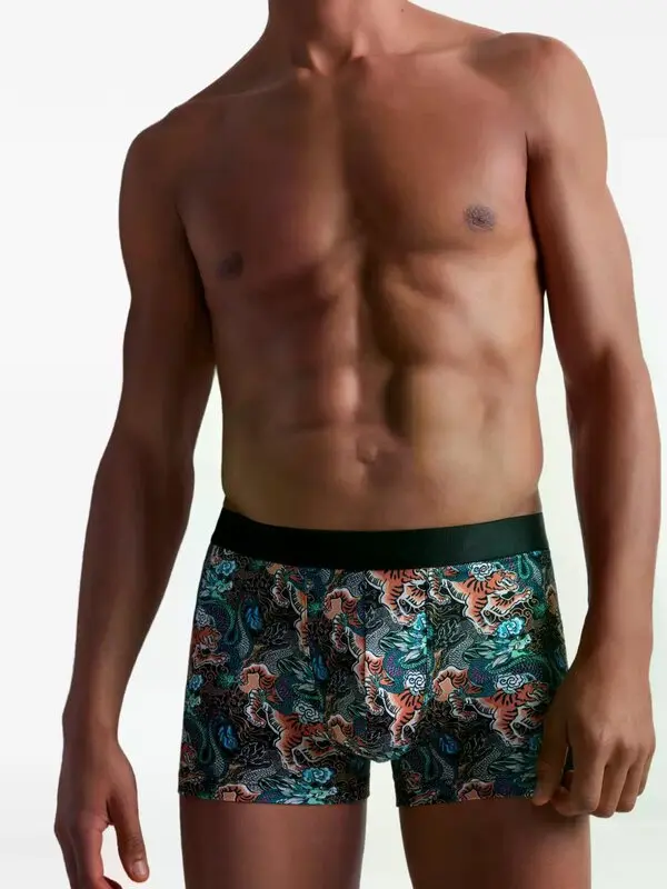 AUBADE Tiger Dragon-print Boxers
