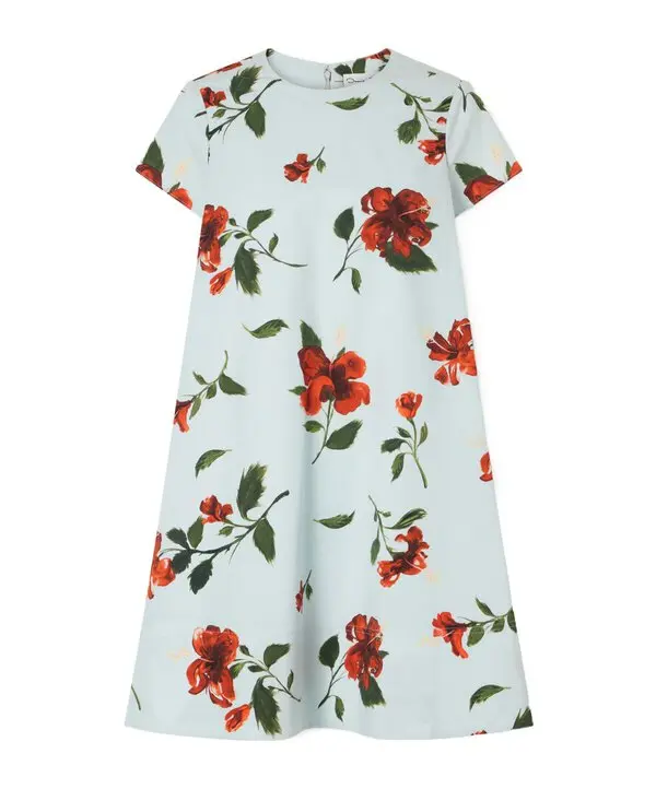 Oscar De La Renta Floral-print Cotton-blend Poplin Mini Dress - No