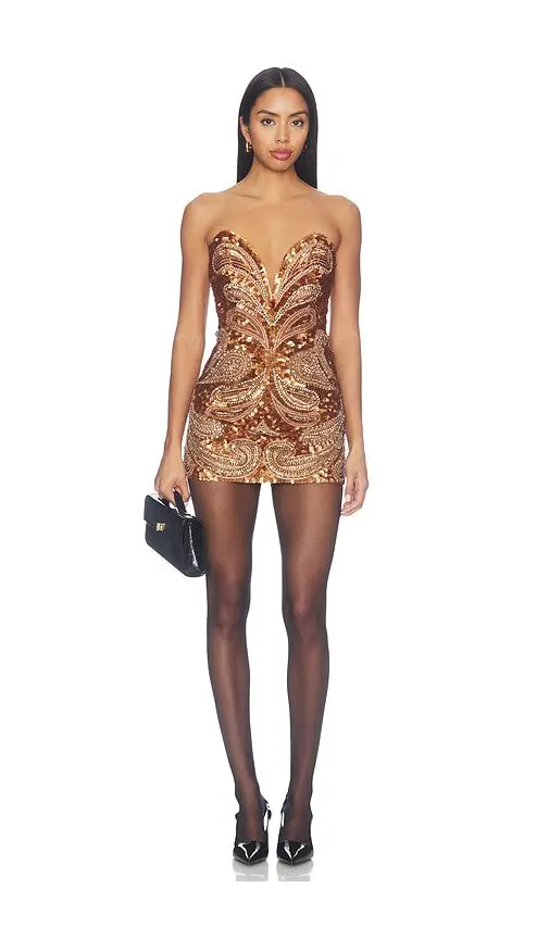 Retrofete Circe Embroidered Dress In Brown - Hazelnut