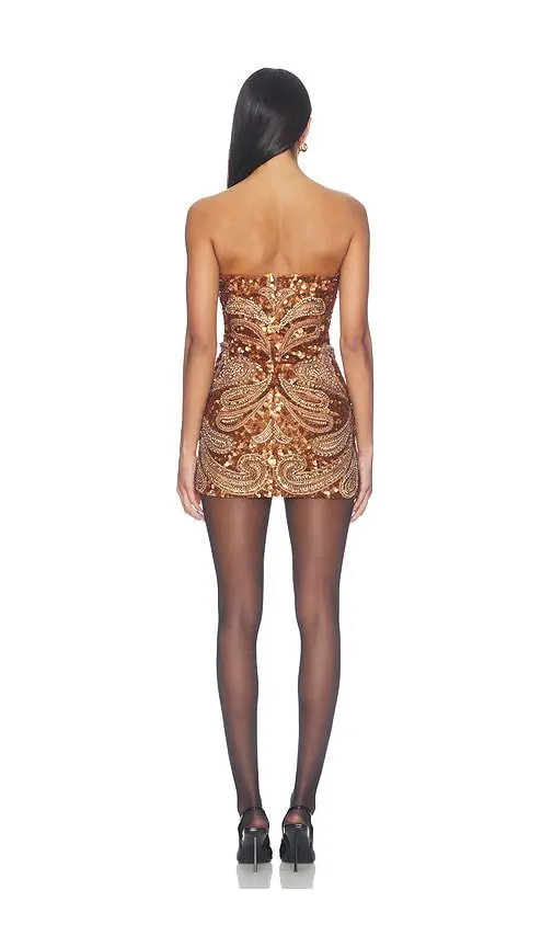 Retrofete Circe Embroidered Dress In Brown
