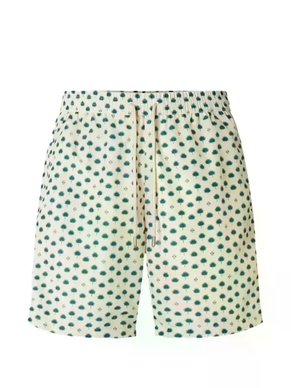 JACOB COHЁN Palm-tree-print Swim Shorts