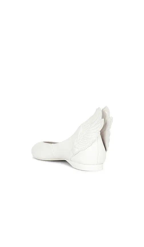 Jeffrey Campbell Talaria Flat