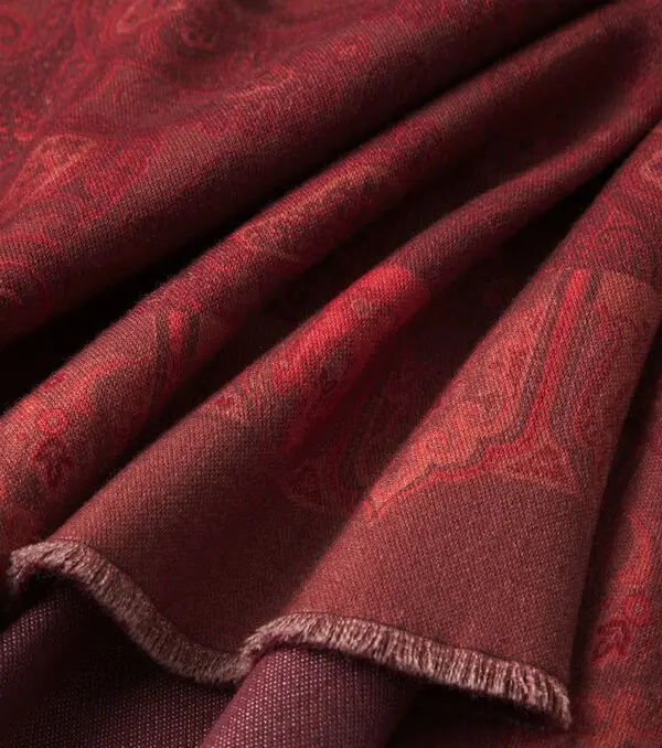 Etro Paisley Printed Wool Throw - Red