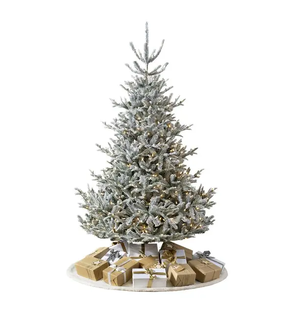 BALSAM HILL Frosted Nordmann Fir Christmas Tree - Green