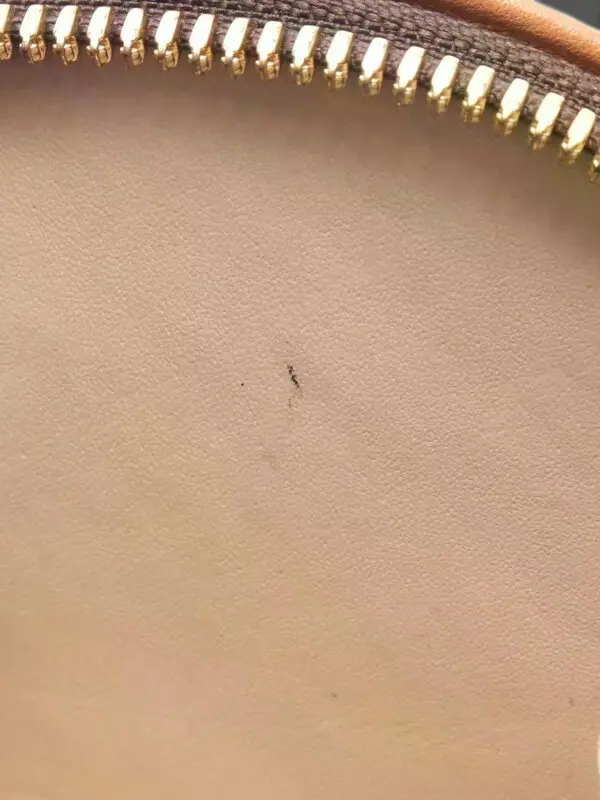 LOUIS VUITTON 2019 Mini Boite Chapeau Mini Bag