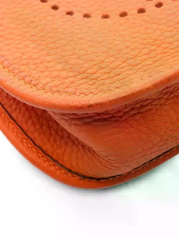 Hermès 2020 Tpm Evelyn Amazon Shoulder Bag