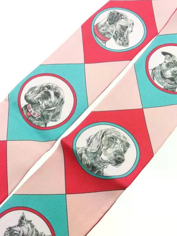 Hermès 2010s Colliers Et Chiens Twilly Scarf - Red