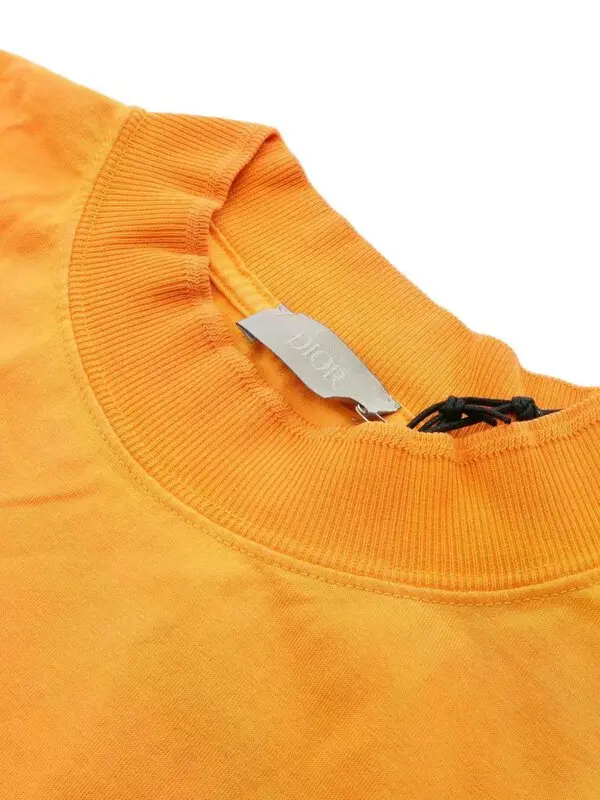 Dior X Peter Doig 2010s Crew-neck T-shirt