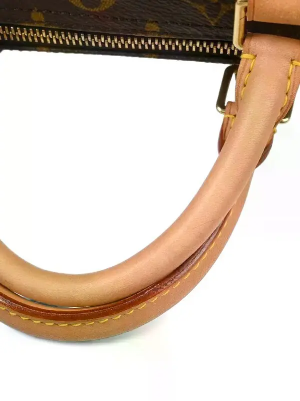LOUIS VUITTON 30 Speedy Monogram Handbag