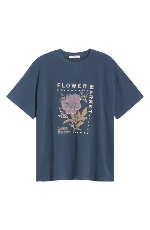 Marine Layer Miracle Oversize Organic Cotton Graphic T-shirt
