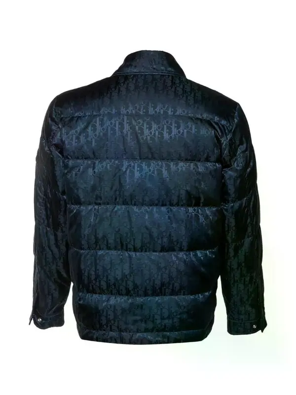 Dior Oblique Down Jacket