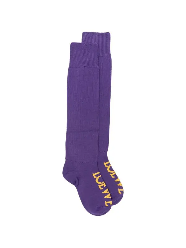 Loewe Logo Wool Socks - Multicolor