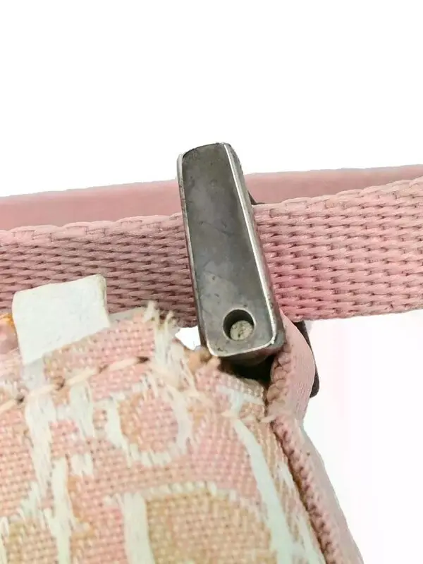 Dior Trotter Tote Bag - Pink