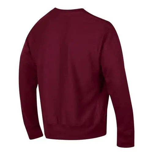 Champion South Carolina Gamecocks Relentless Reverse Weave Sweatshirt