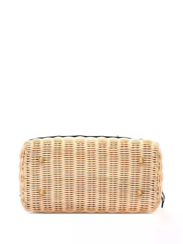 Dior 2021 Medium Wicker Oblique Lady Satchel