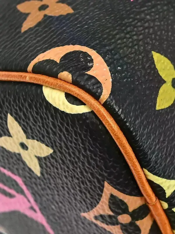 LOUIS VUITTON Mini Speedy Tote Bag