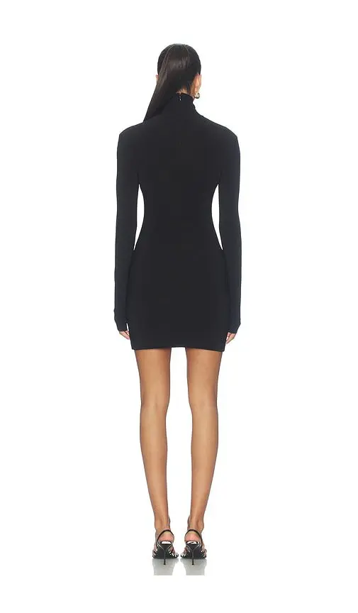 Norma Kamali Long Sleeve Turtleneck Mini Dress