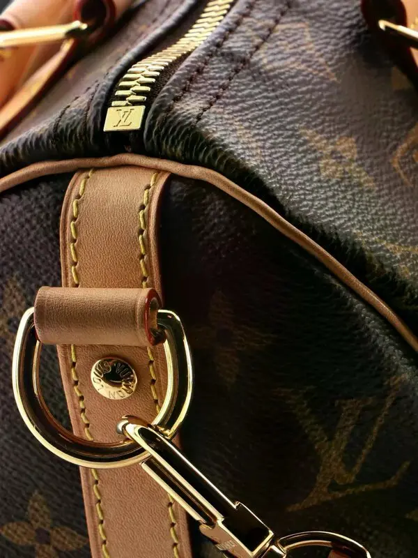 LOUIS VUITTON Speedy Bandouliere Bag Monogram Canvas 25 Satchel