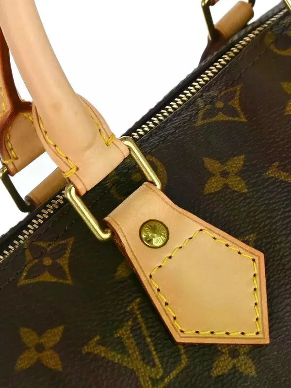 LOUIS VUITTON Monogram Speedy 25 Handbag