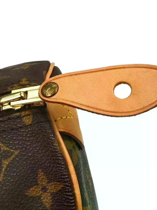 LOUIS VUITTON 30 Speedy Monogram Tote Bag