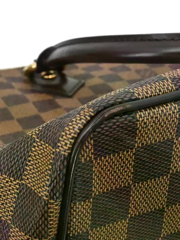 LOUIS VUITTON Mm Saleya Damier Ebène Tote Bag