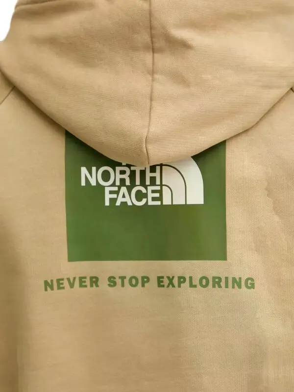 The North Face Raglan Nse Box Hoodie