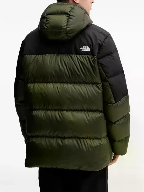 The North Face Diablo Down 2.0 Hooded Jacket