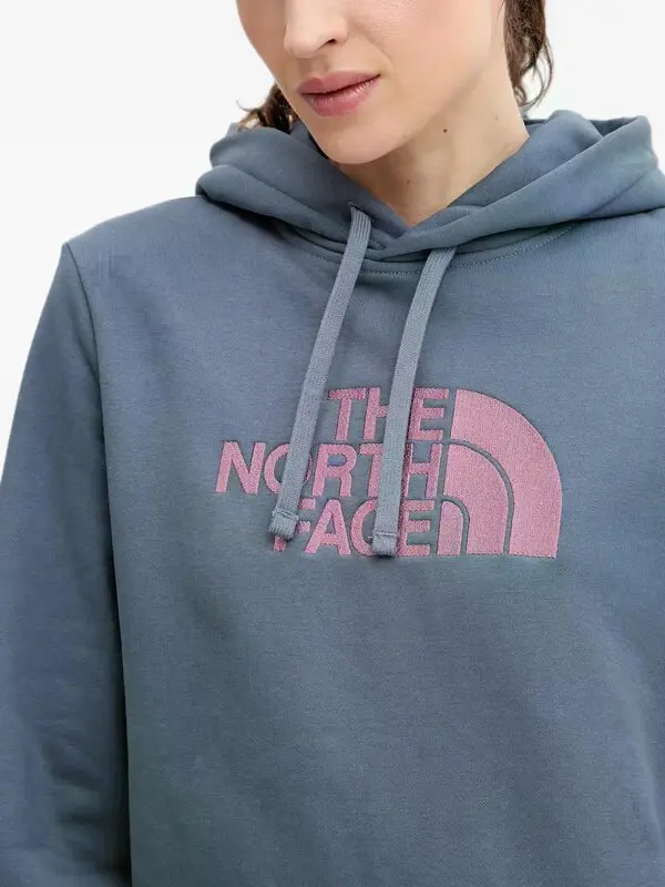 The North Face Drew Peak Hoodie