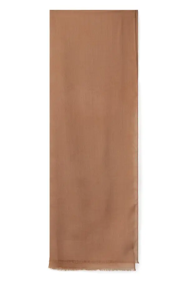 Max Mara Azinnia Wool-silk Scarf - Brown