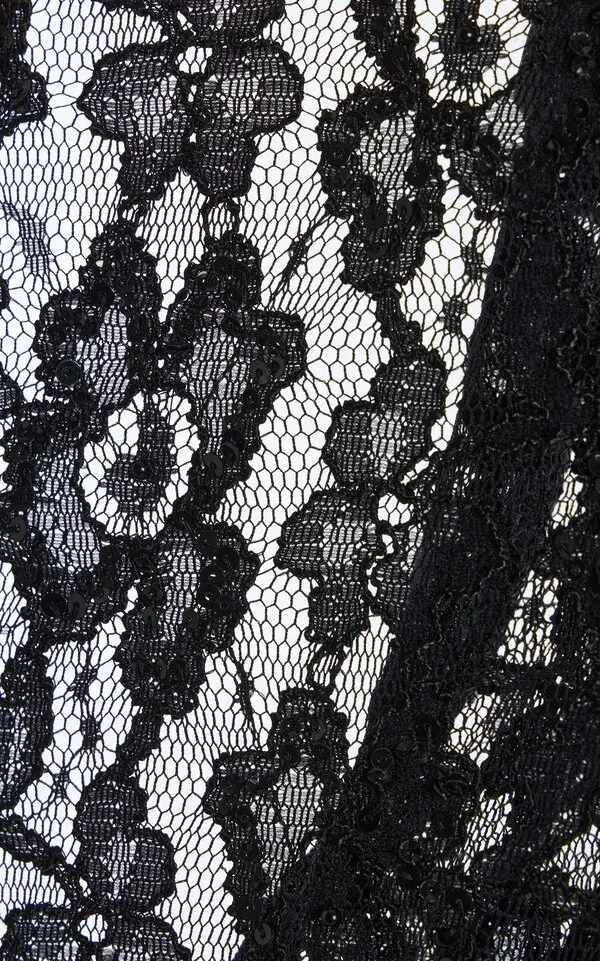 SERGIO HUDSON Hand-embroidered Lace Midi Dress